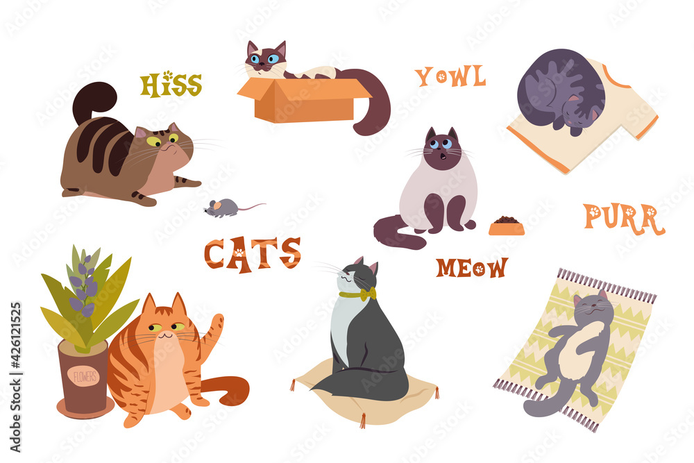 Set of cute cats poses vector illustration. Cartoon adorable striped ...
