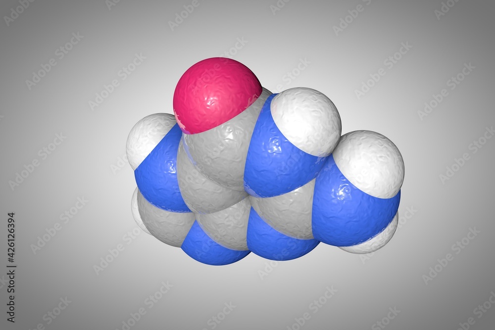 Space-filling molecular model of guanine. Atoms are represented as ...