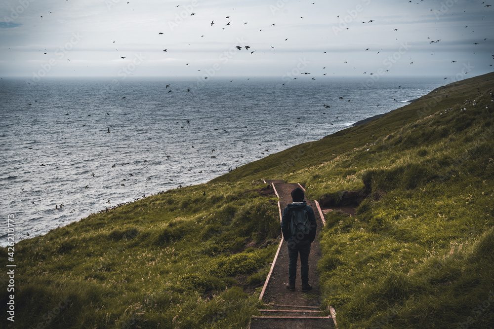 Young man tourist traveler standing between puffins at the Mykines ...