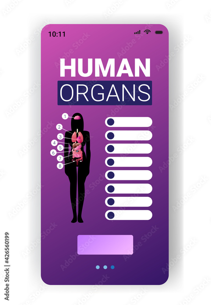 human body structure infographic poster with female internal organs ...