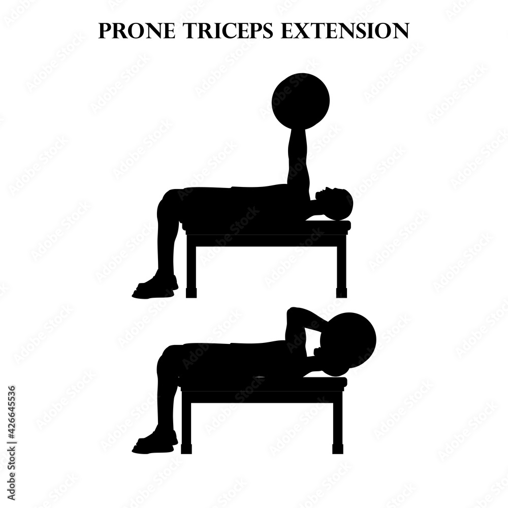 Prone triceps extension exercise strength workout vector illustration ...