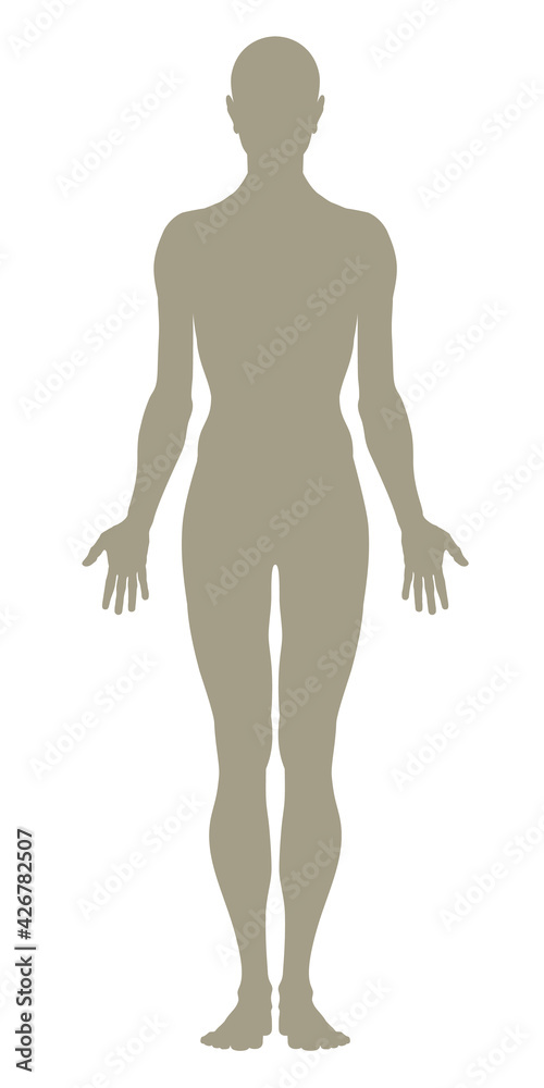 Model of the human body. Hand drawn gender-neutral figure, silhouette ...