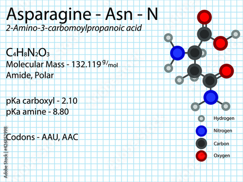 Asparagine - Asn - N - Non Essential Amino Acid molecular formula ...