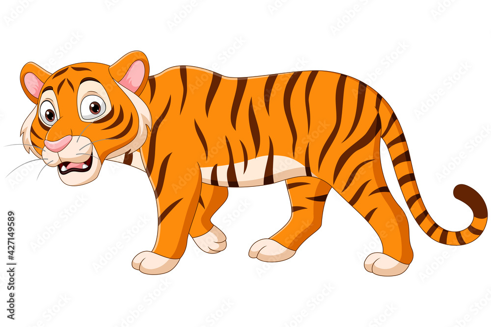 Cartoon tiger on white background Stock Vector | Adobe Stock