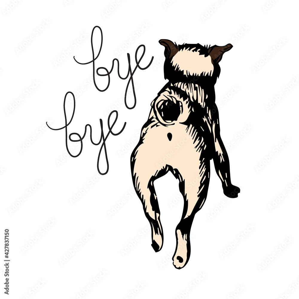 Cute funny pug turns and runs away. Bye bye. Cartoon character isolated ...