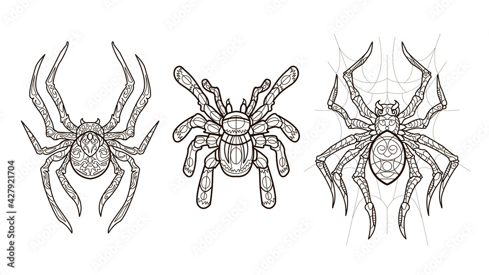 Abstract spiders outline illustration coloring book page for adult. Set ...