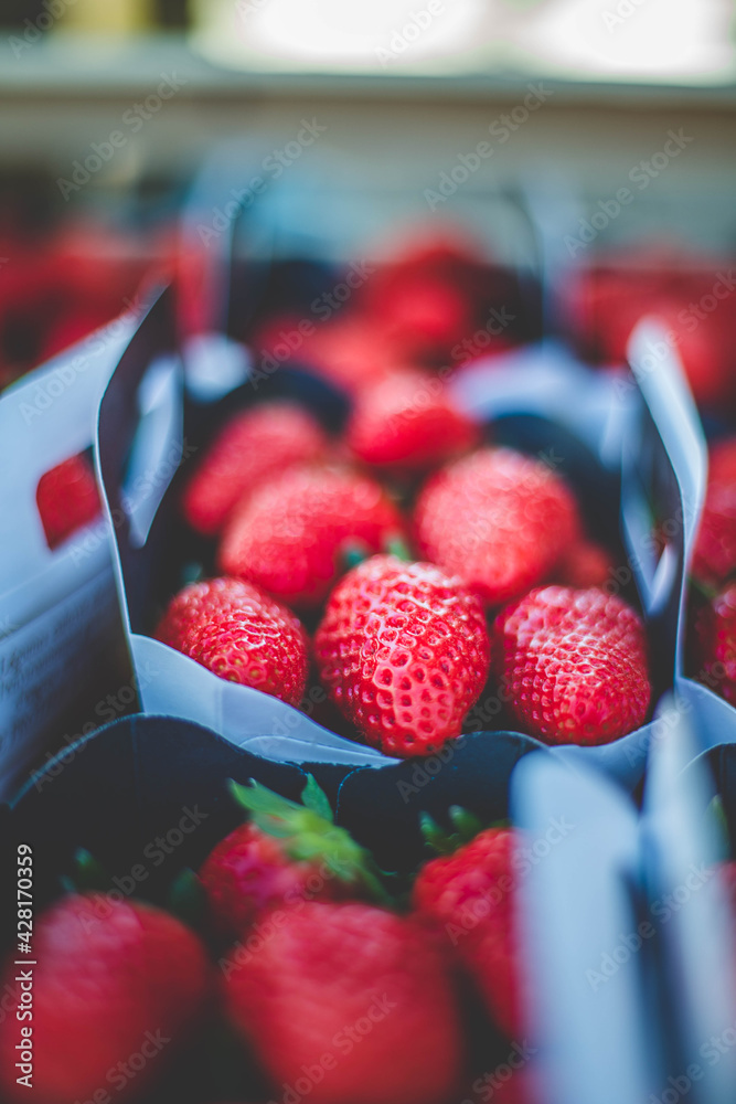 Barquette de fraises à la sortie du champs pendant la récolte dans les ...