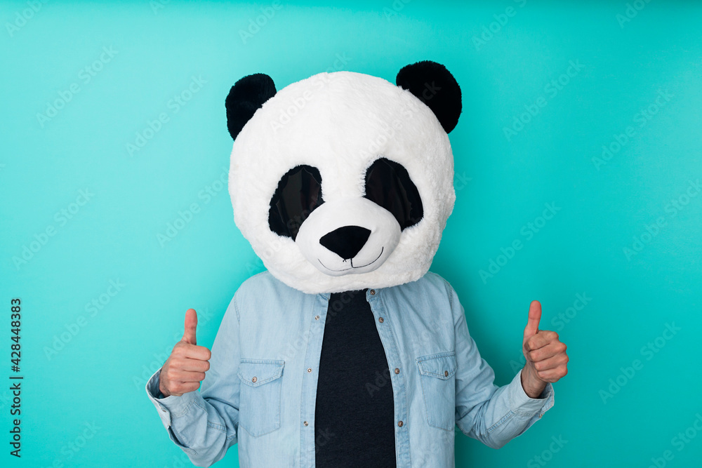 Optimistic man in panda mask with thumbs up against blue background ...