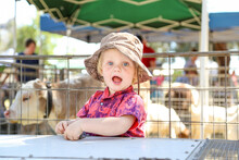 Boy At Fair Free Stock Photo - Public Domain Pictures