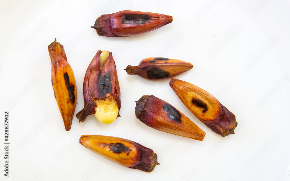 Roasted pinion fruit, pine nuts from the Araucária angustifolia tree ...