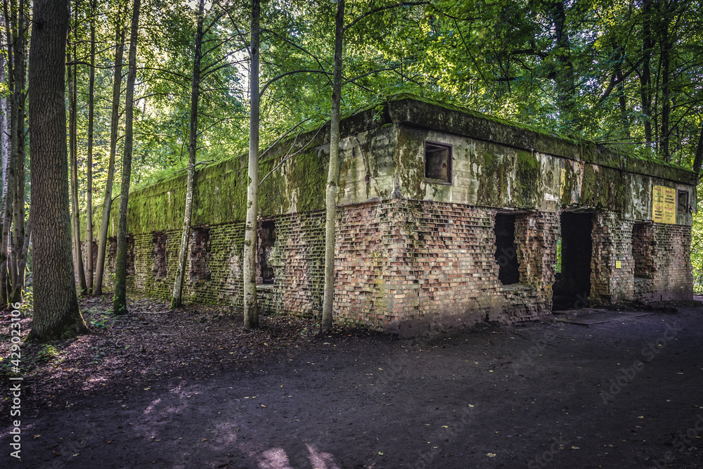 Ruined building in Wilczy Szaniec - Wolfs Lair, first Eastern Front ...