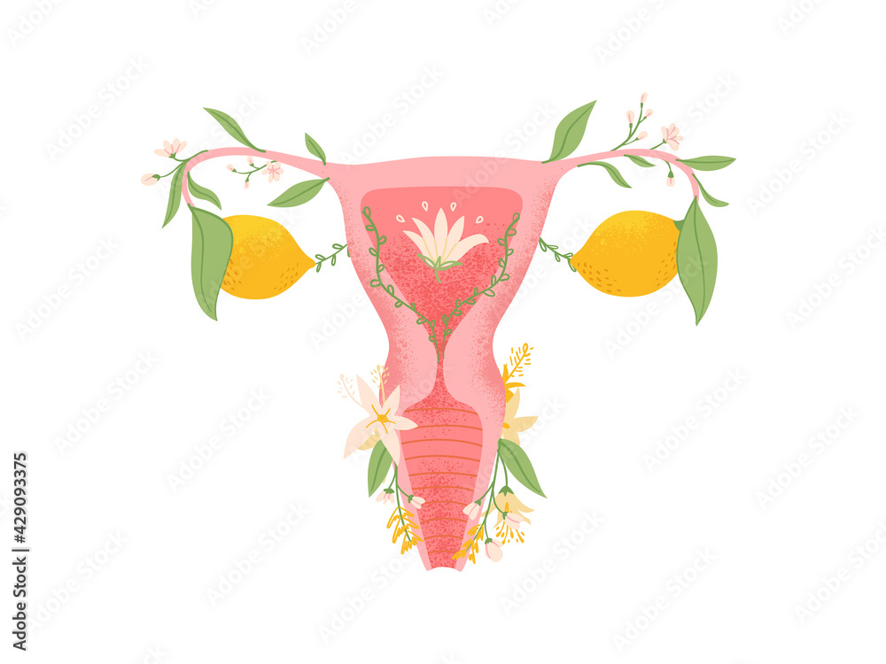 Female reproductive system vector cute illustration with flowers. Woman ...