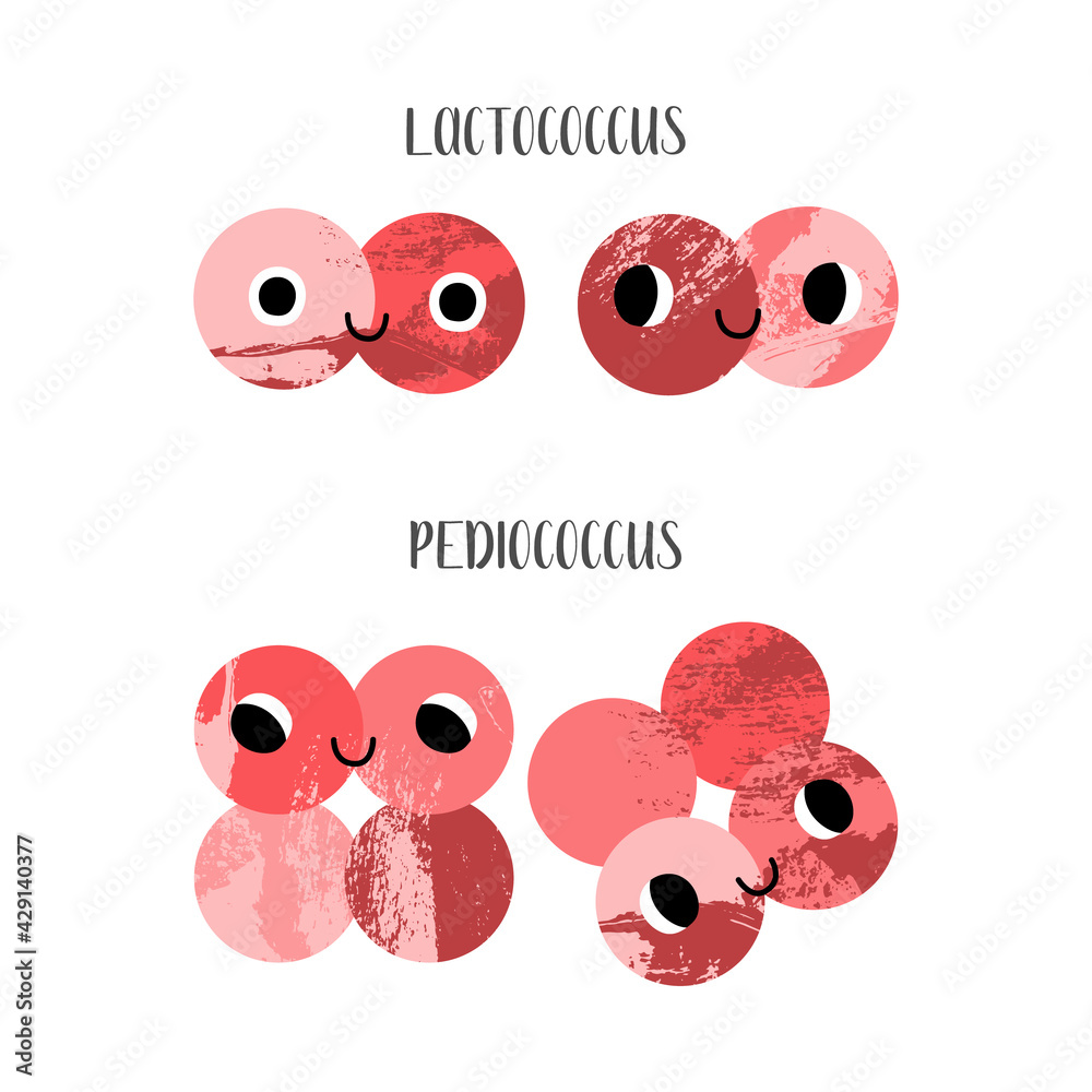 Image vectorielle Stock Lactococcus, Pediococcus. Cute lactic acid ...