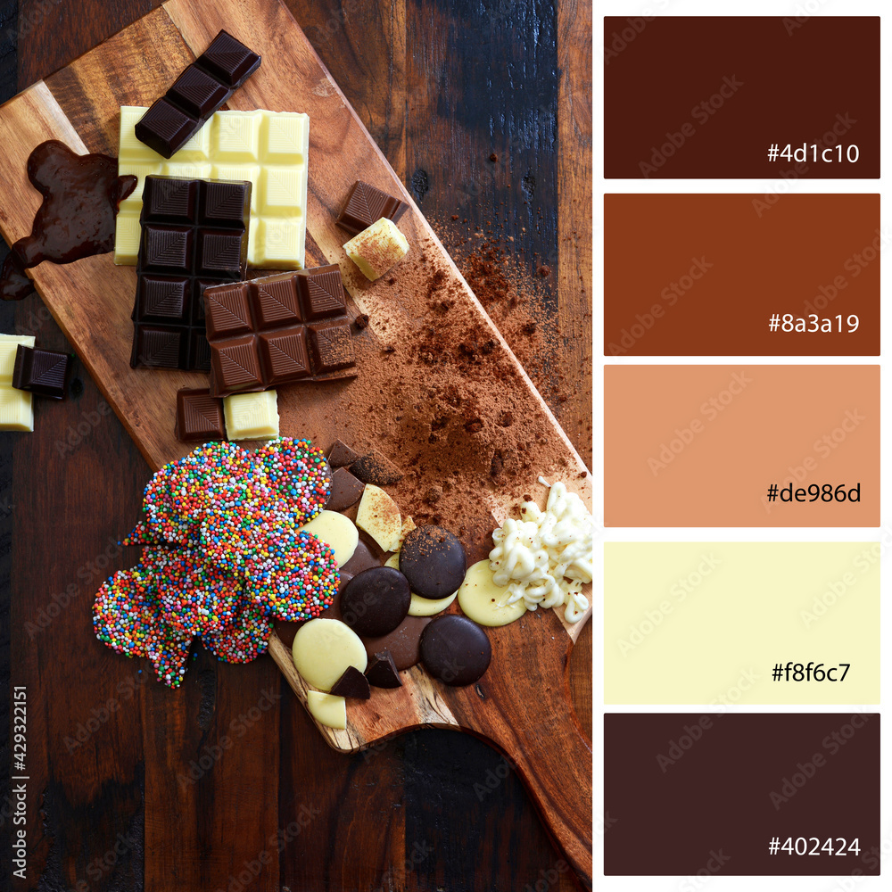 Designer Pack Color Palette inspired by the different types of ...