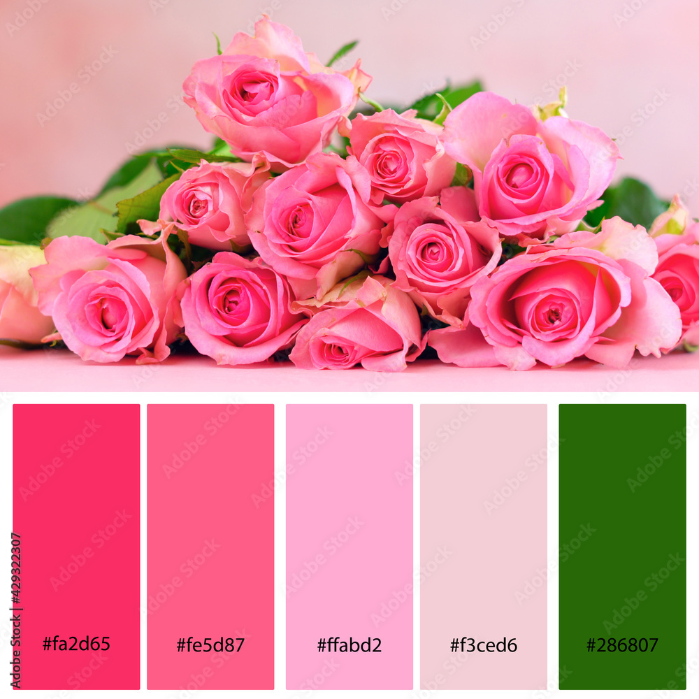 Foto de Stock Designer Pack Color Palette inspired by bouquet of pink ...