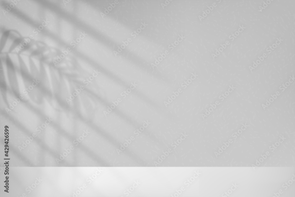 Lights from window on wall and floor. White mockup with shadow from ...