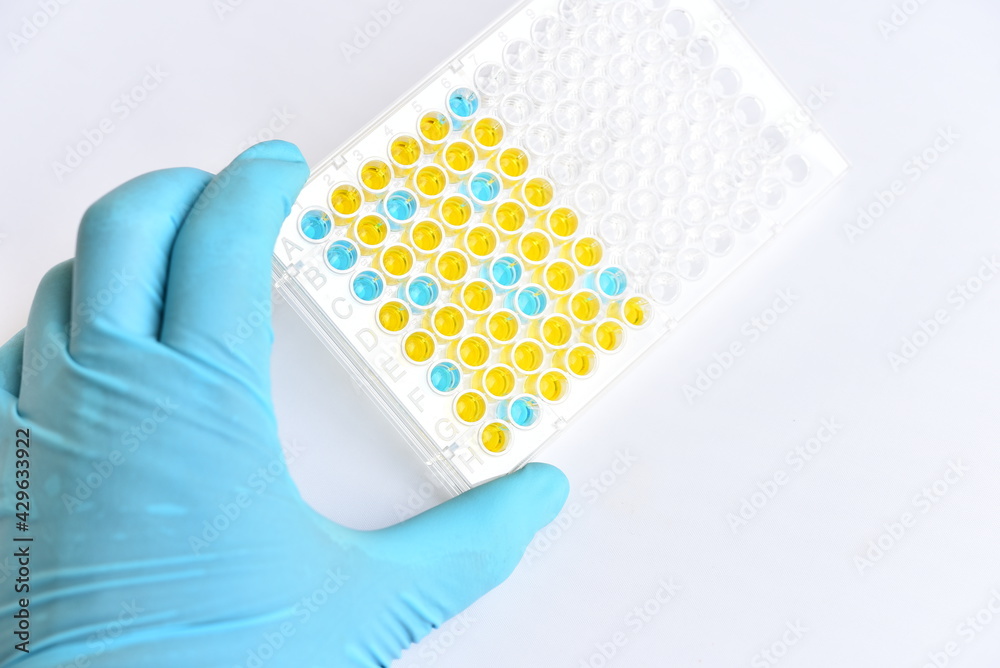 Enzyme-linked immunosorbent assay or ELISA plate, Immunology testing ...