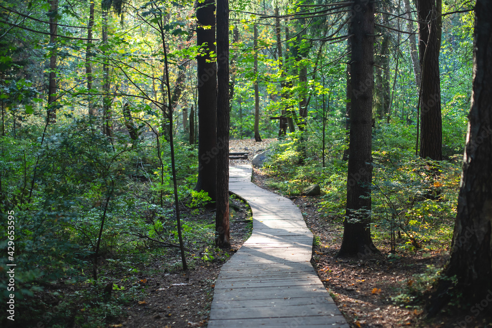Stock-Foto „Eco path wooden walkway in Komarovo Shore, Komarovsky Bereg ...