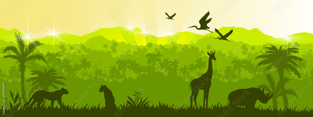 Jungle vector forest silhouette landscape, green tropical nature ...