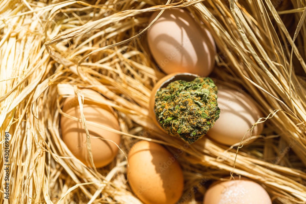 Stock-Foto „Support Marijuana Legalization - Normalize Pot Use- Big ...