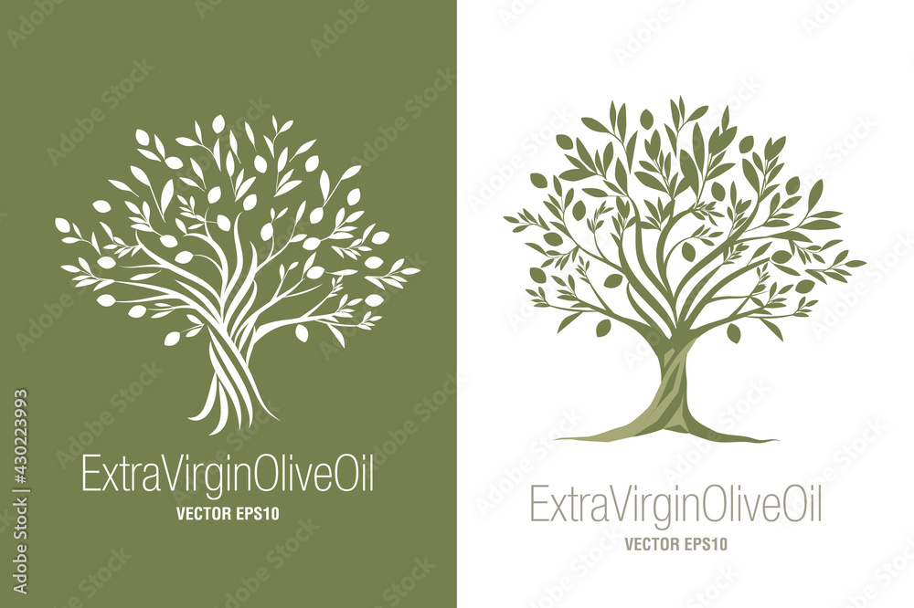 Olive Tree. Extra virgin olive oil symbol. Symbol of culture and ...