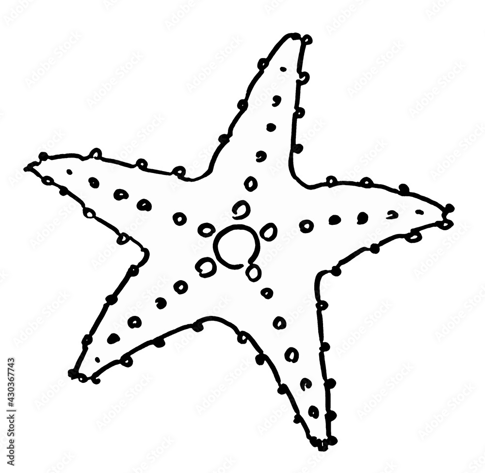Line art Drawing Sea Star (Starfish). Black line on White Background ...