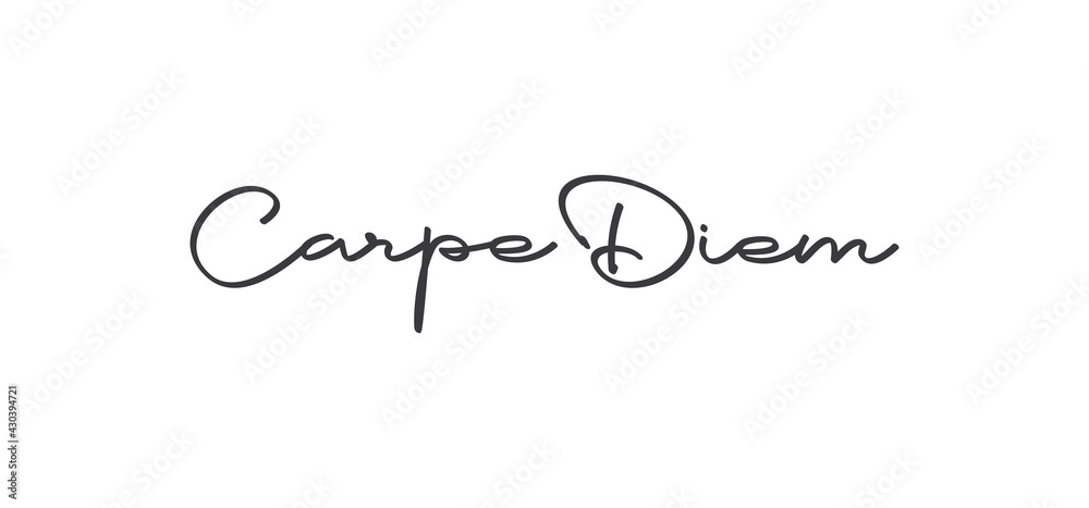 Carpe Diem lettering text, hand drawn typographic style phrase ...