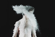 Exploded Wool Texture 002 Free Stock Photo - Public Domain Pictures