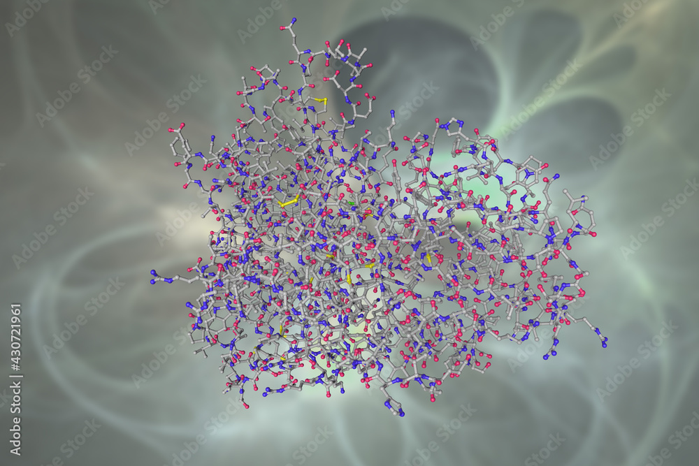 Molecular model of human beta secretase (BASE) in complex with ...