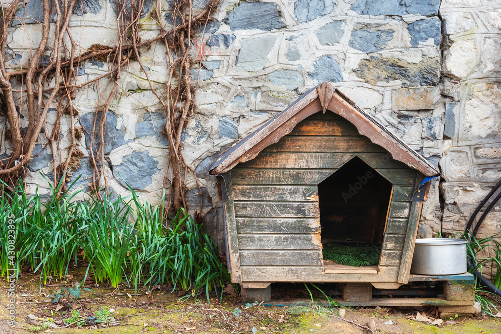 Stray dog kennels in a park in Istanbul. Wooden dog house in Turkey ...