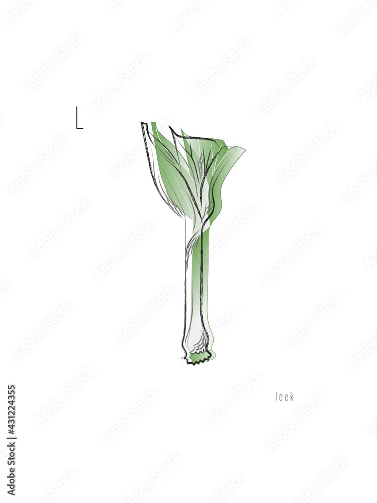 Leek in green color. Vegetarian, vegan, healthy food. Hand drawn ...