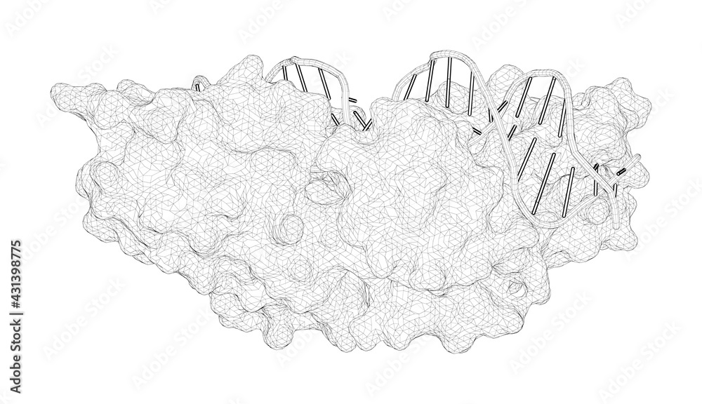 3D rendering as a line drawing of a biological molecule. The homing ...
