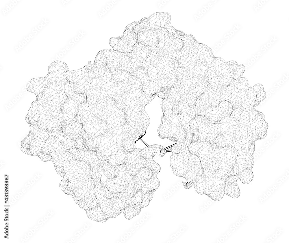 Ilustración de Stock 3D rendering as a line drawing of a biological ...