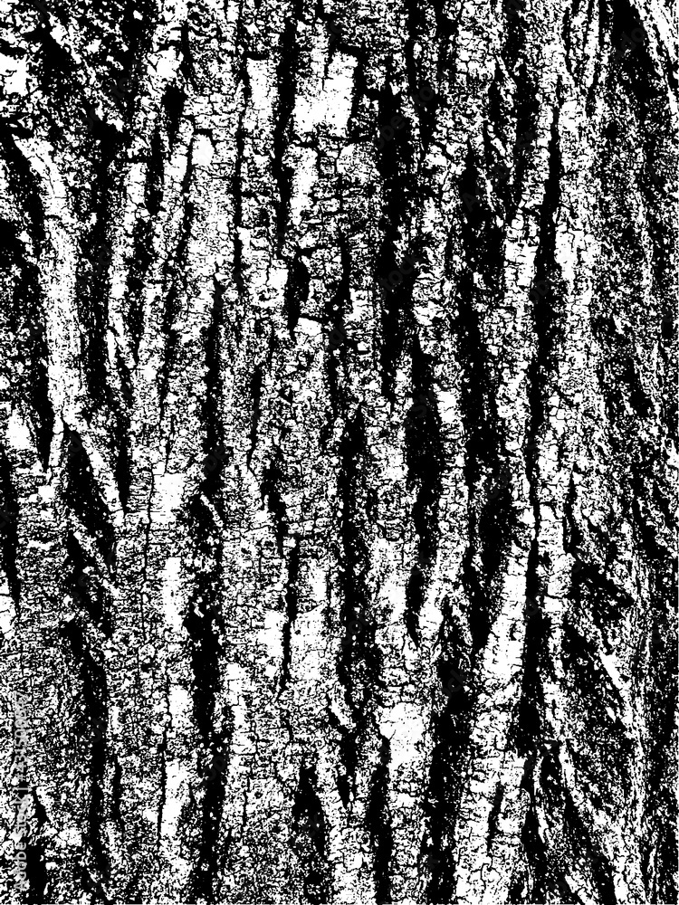 Grunge tree bark texture. Distressed overlay texture. Black and white ...