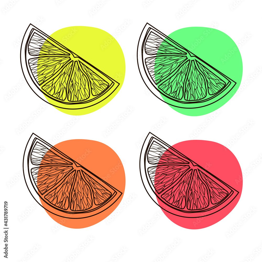 A set of four citrus fruit slices in the style of a doodle with orange ...