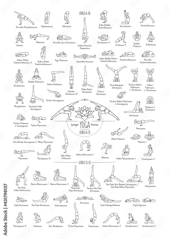 Hand drawn poster of hatha yoga poses and their names, Iyengar yoga ...