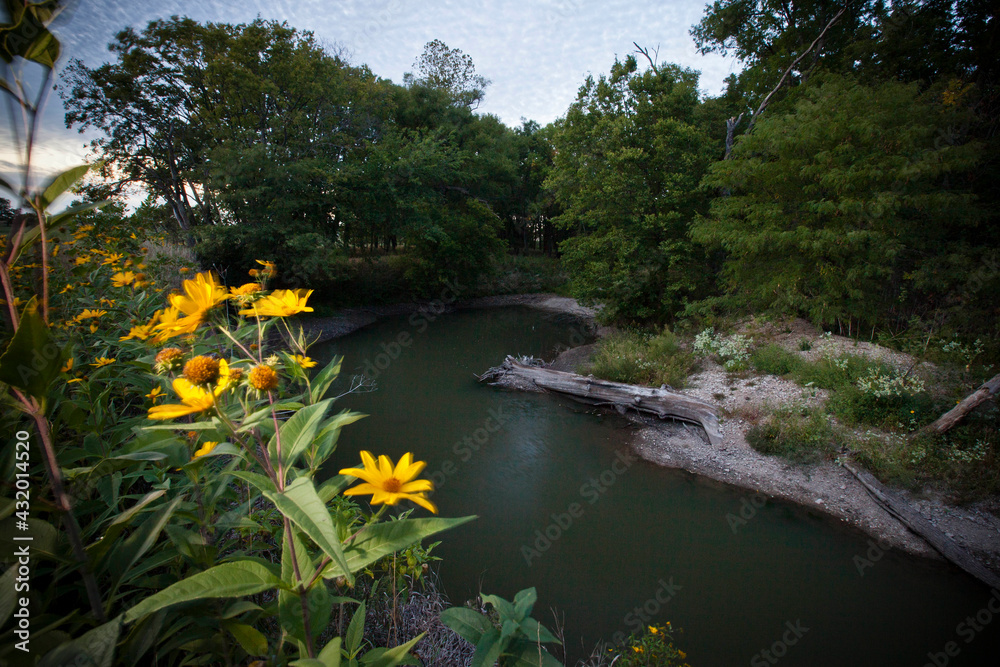 Photo Stock Woodlands dominate a section of Tallgrass Prairie National ...