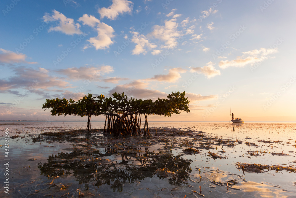 A boater uses a push pole to navigate the mangrove flats of Florida Bay ...