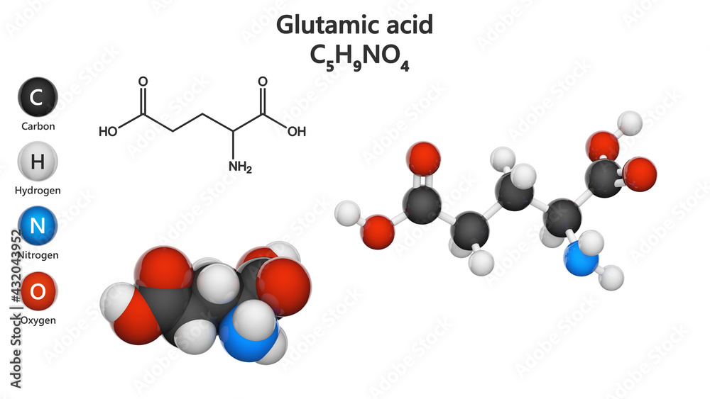 Glutamic acid (Glu), also referred to as glutamate, is one of the 20 ...