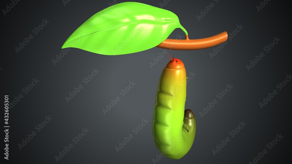 3d illustration of butterfly life cycle stages anatomy. Stock ...