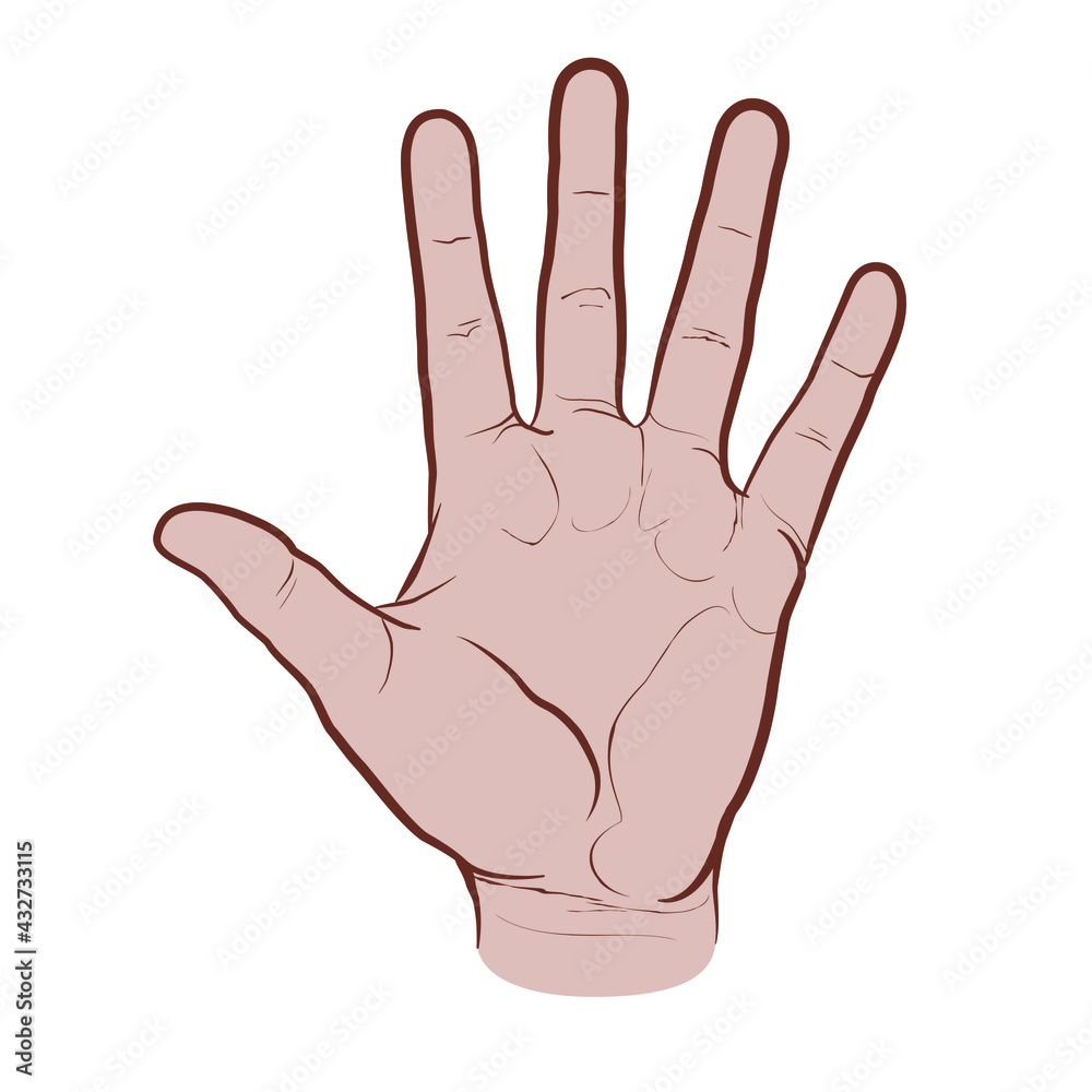 Palm side view of the hand, colored version. Flat vector drawing ...