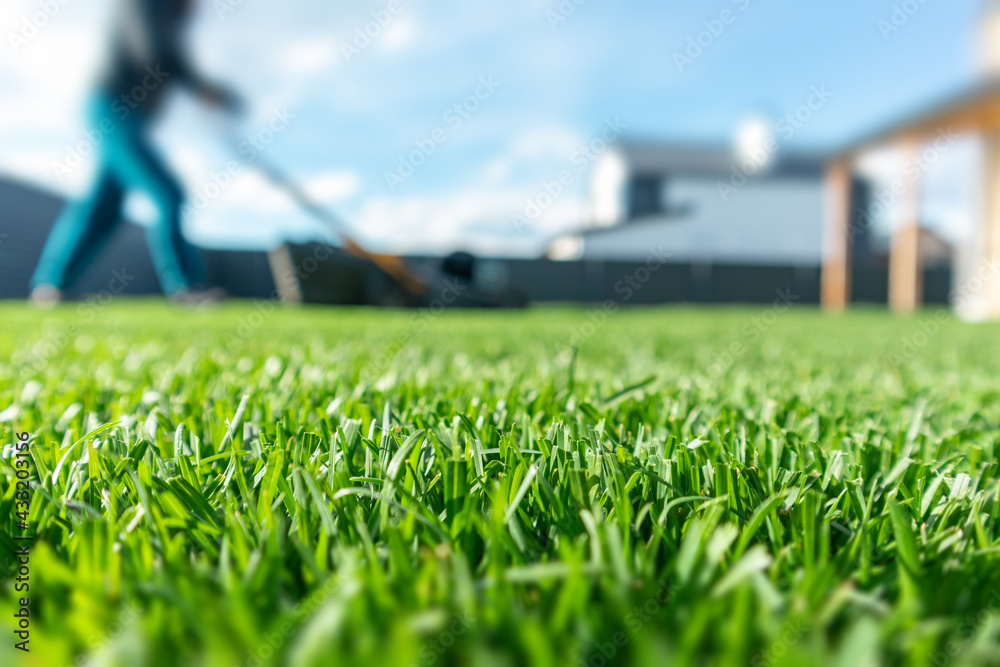 Стоковое фото «Spring season sunny lawn mowing in the garden. Lawn blur ...