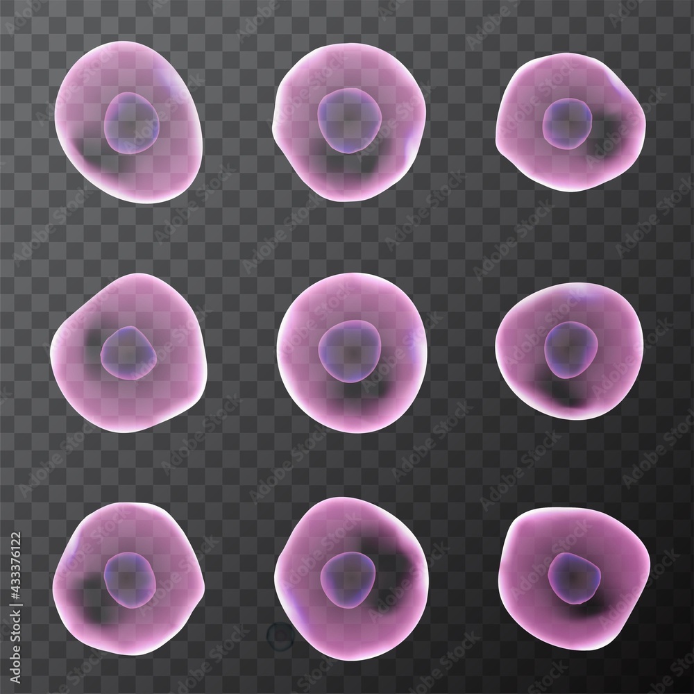 Realistic human stem cells set isolated on transparent background. Pink ...
