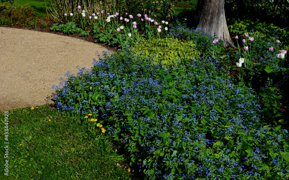 beautiful nook in the spa park with light paths and flowering shrubs ...