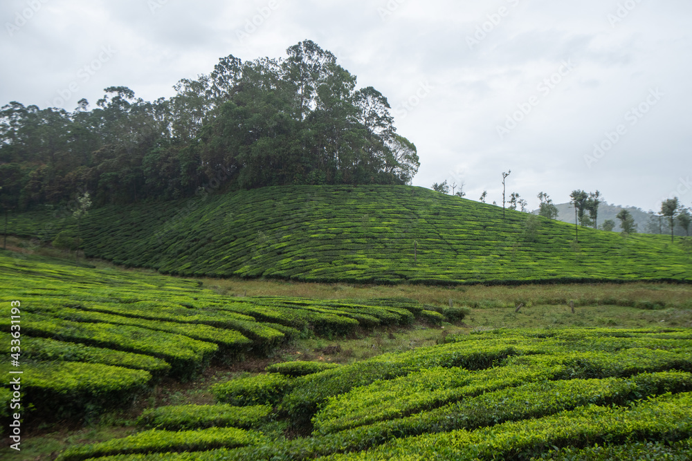 Foto Valparai is a hill station in the south Indian state of Tamil Nadu ...