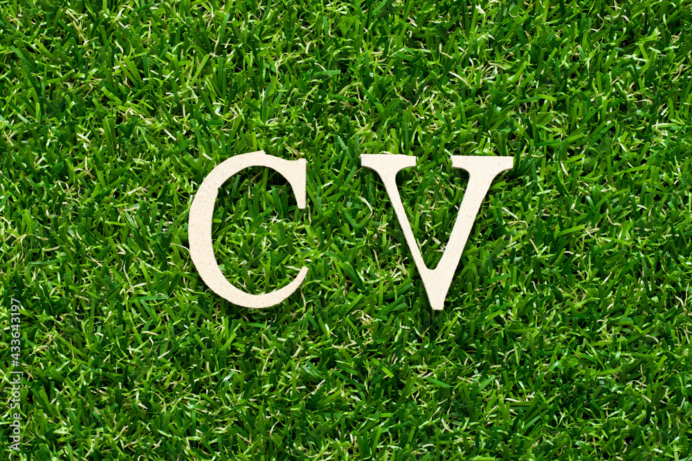 Wood alphabet letter in word CV (Abbreviation of curriculum vitae) on ...