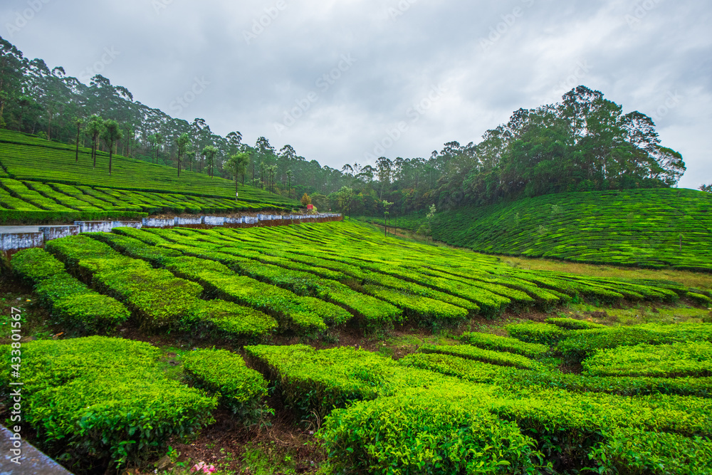 Valparai is a hill station in the south Indian state of Tamil Nadu ...