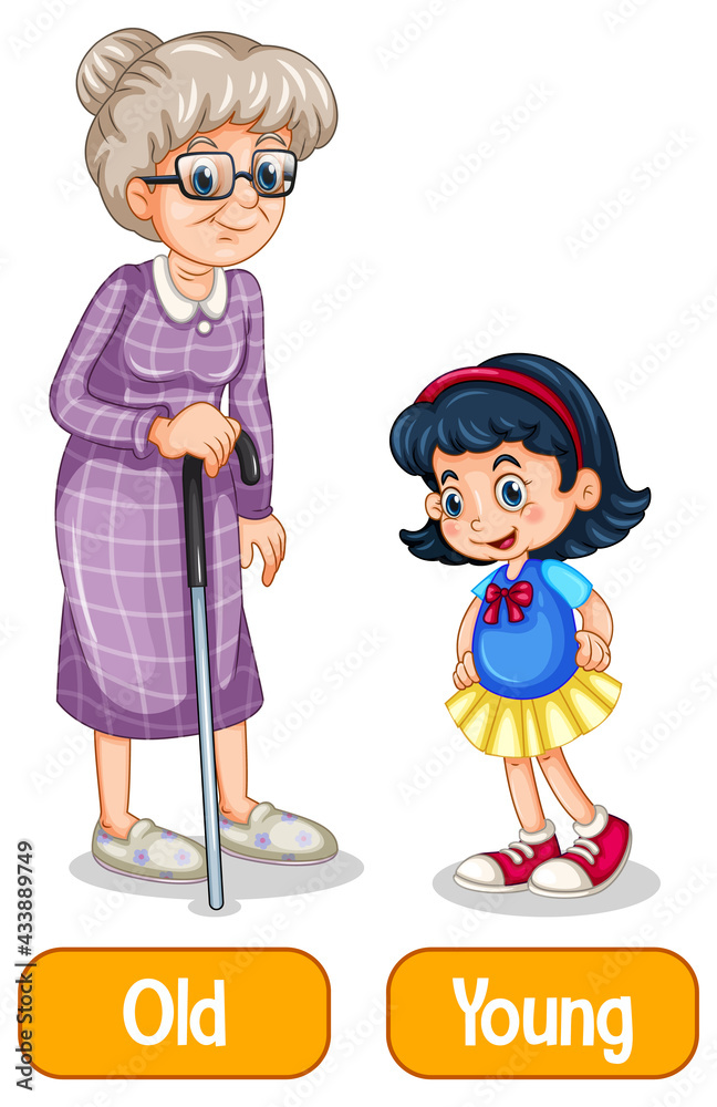 Opposite adjectives words with old and young Stock Vector | Adobe Stock