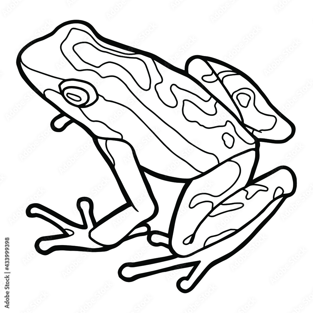 Vector de Stock Little frog. Spotted poison dart frog. Coloring page ...