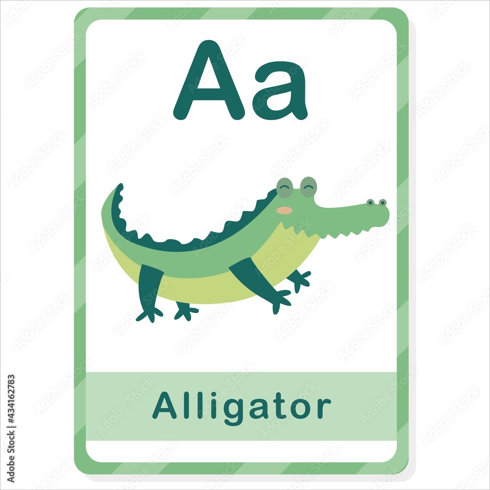 Animal alligator card for kids. Educational preschool alphabet flash ...